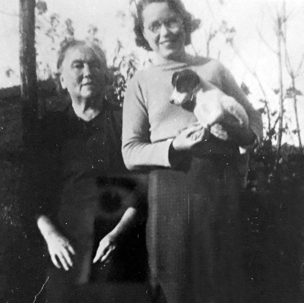 May | 2015 | negativepositiveproject